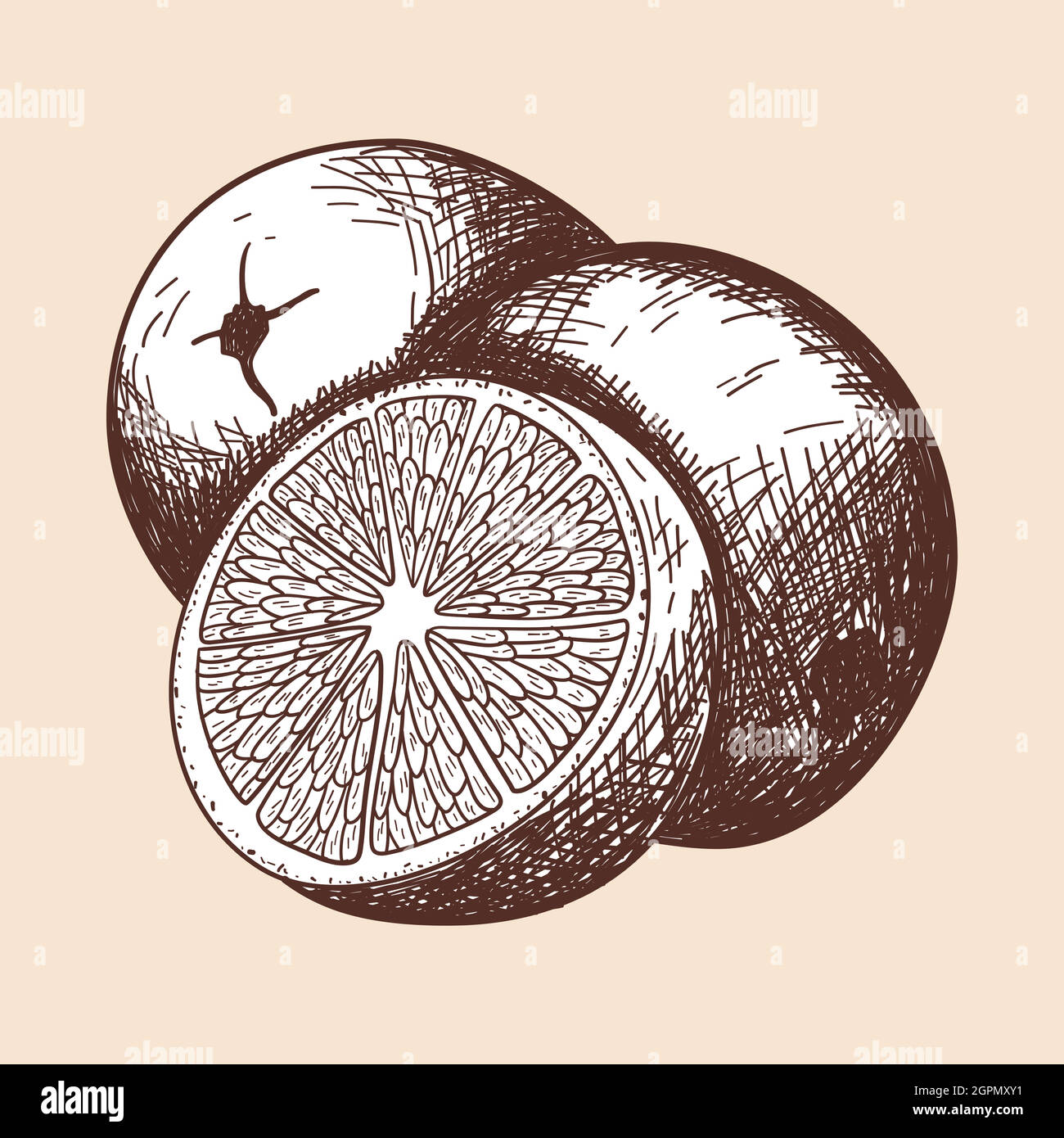 Tree icon outline orange Stock Vector Images - Alamy