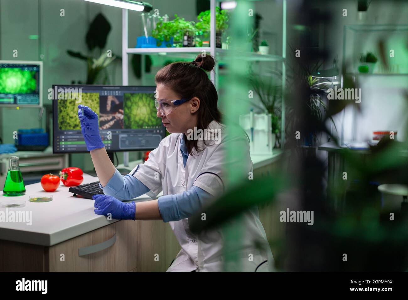 Biologist researcher woman analyzing microscope slide with leaf sample ...