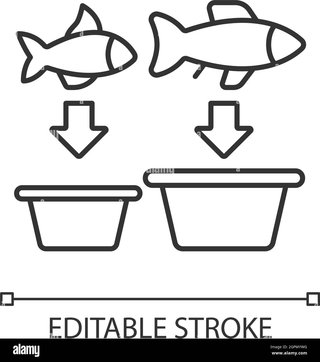 Fish sorting linear icon Stock Vector Image & Art - Alamy