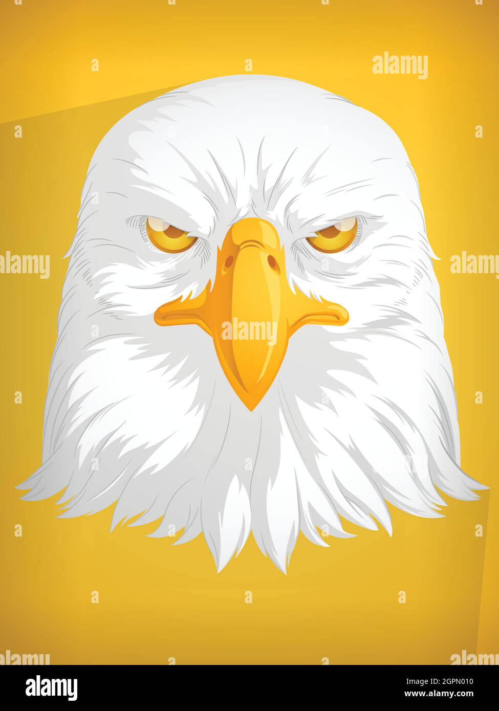 Eagle Head Hawk Falcon Cartoon Front View Closeup Vector Drawing Stock ...