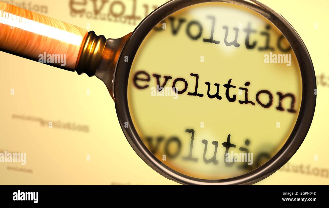 Evolution word hi-res stock photography and images - Alamy