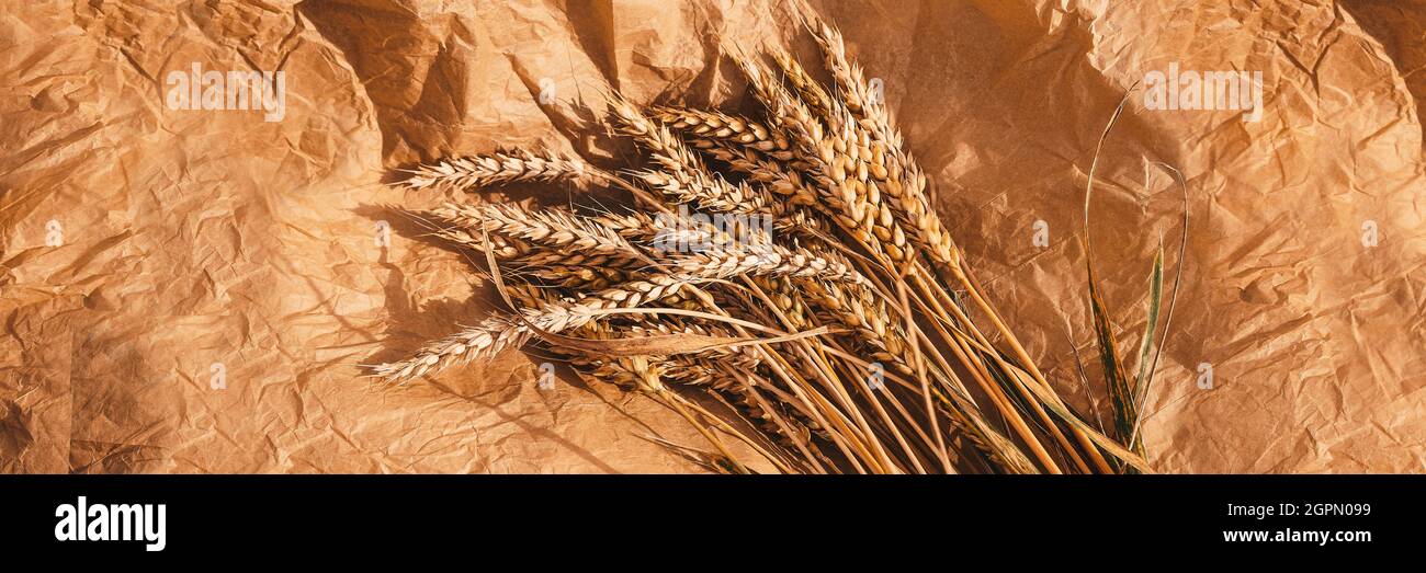 Bunch of ripe golden wheat on craft paper background. The concept of ...