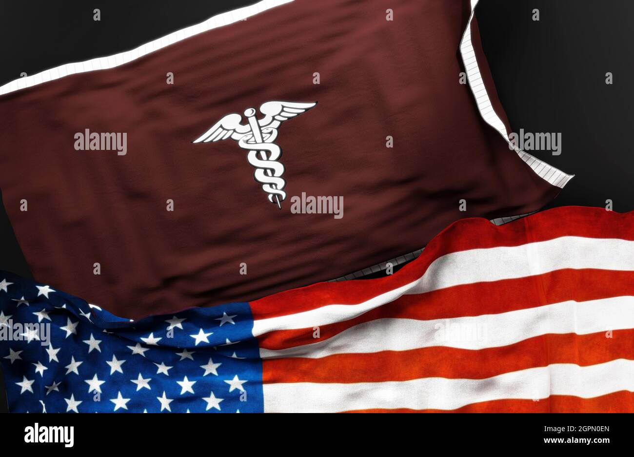 Flag of the Surgeon General of the United States Army with fringe along ...