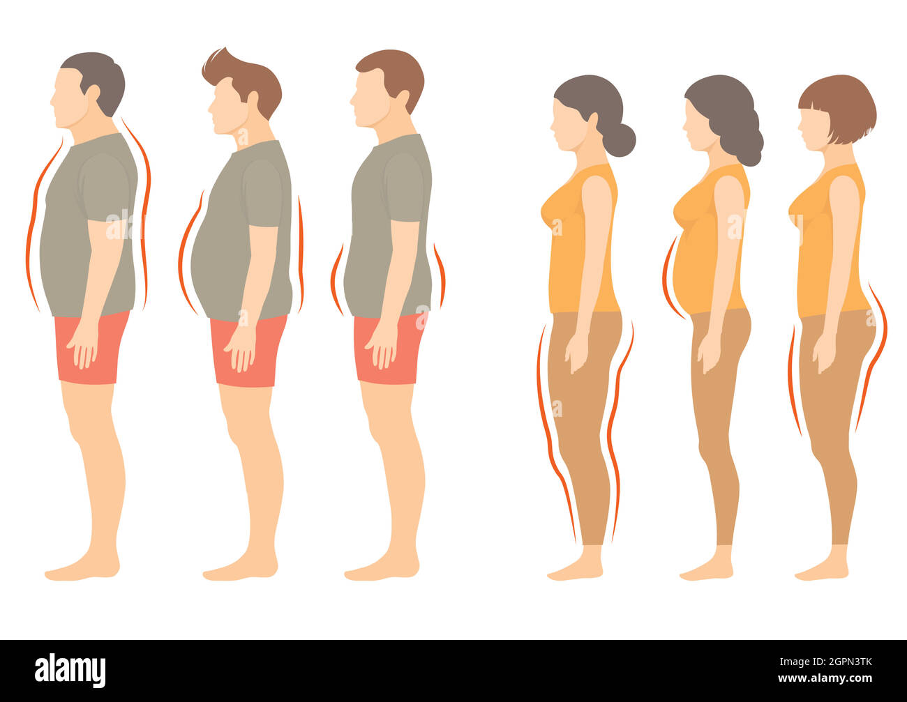 Body types vector hi-res stock photography and images - Alamy