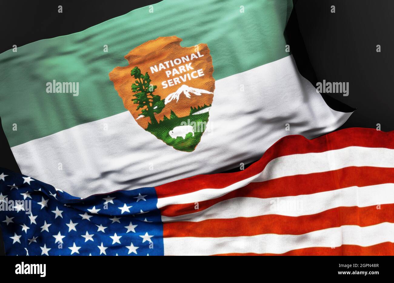 Flag of Guidon of the United States National Park Service along with a ...