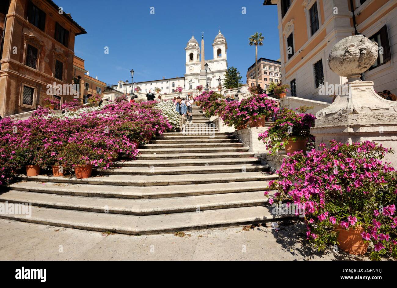 Season for spring flowers hi-res stock photography and images - Alamy