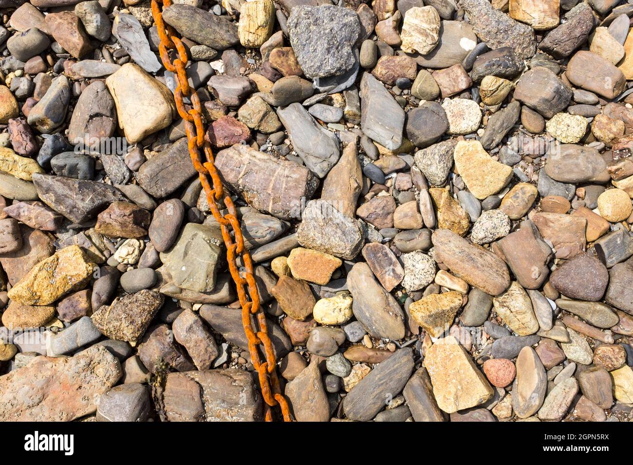 An old rusty chain on a background of rocks of all colors at low tide ...