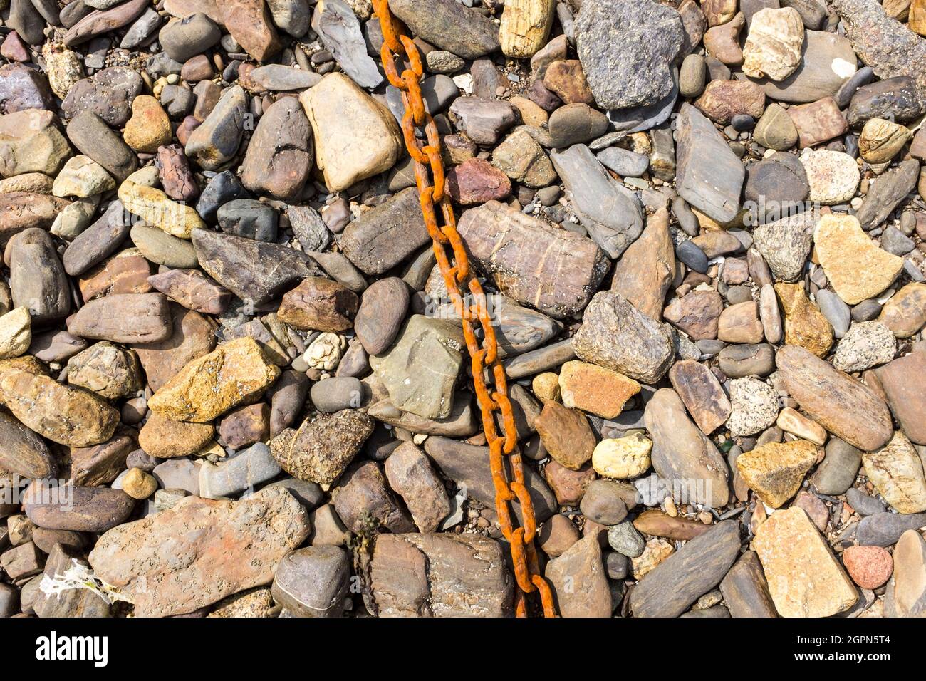An old rusty chain on a background of rocks of all colors at low tide ...