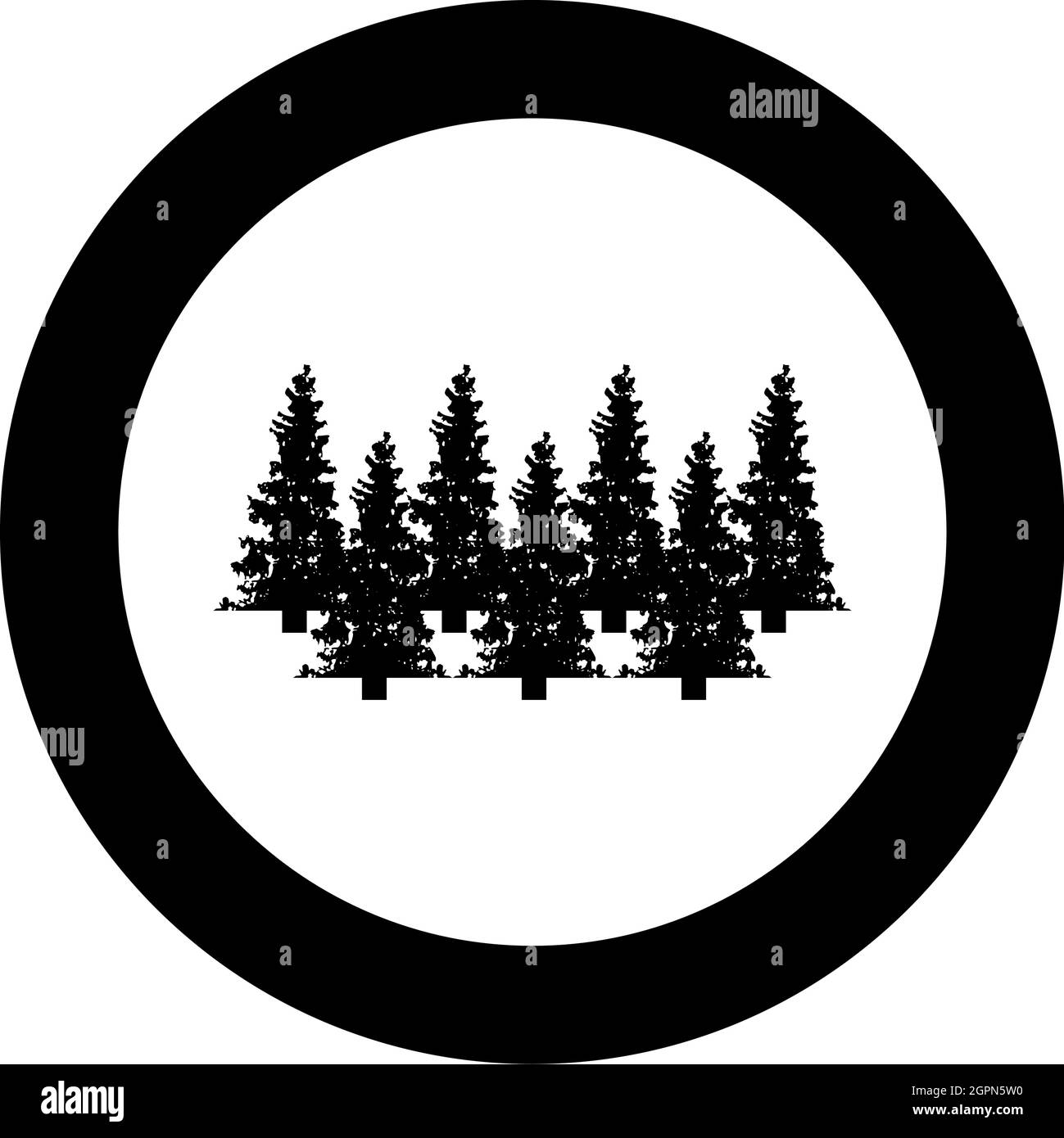 Fir tree Christmas Coniferous Spruce Pine forest Evergreen woods ...