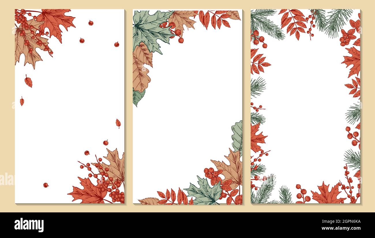Set of colorful Autumn designs with leaves, fir tree branches and ...