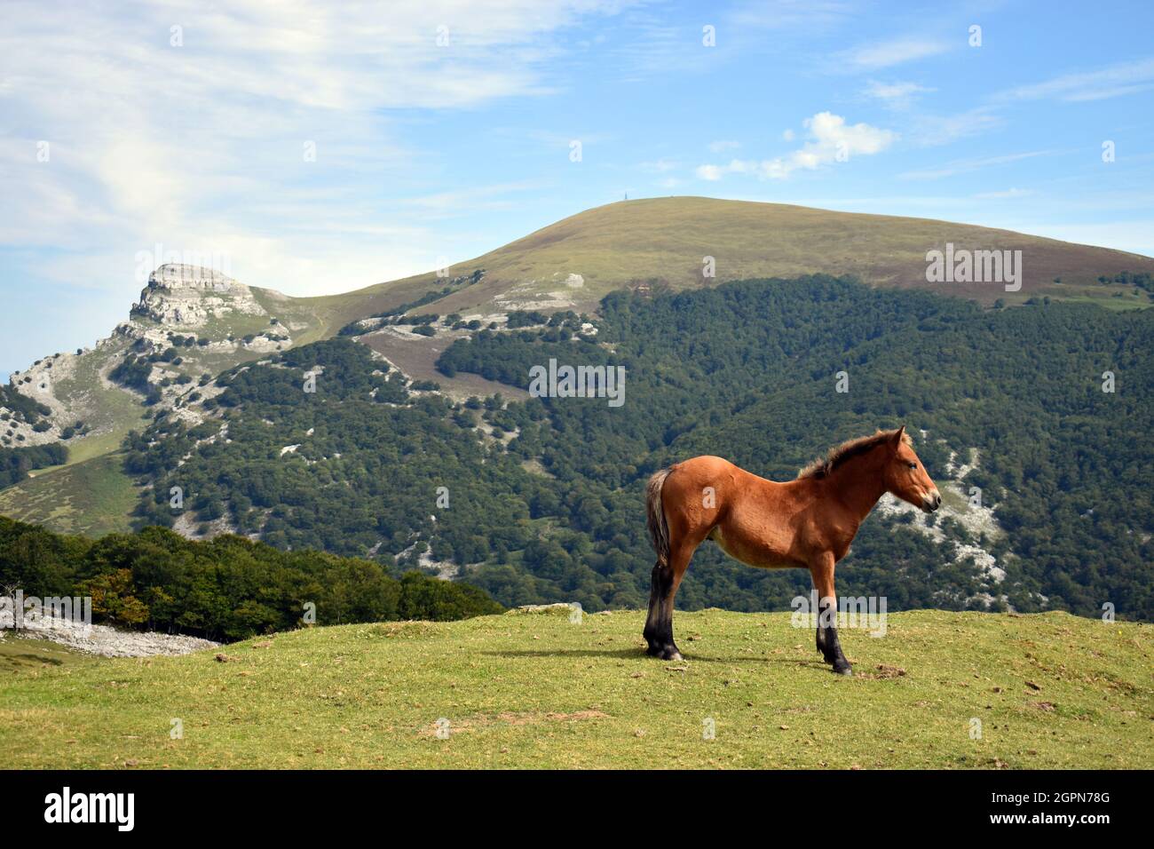 Gorbea mount hi-res stock photography and images - Alamy