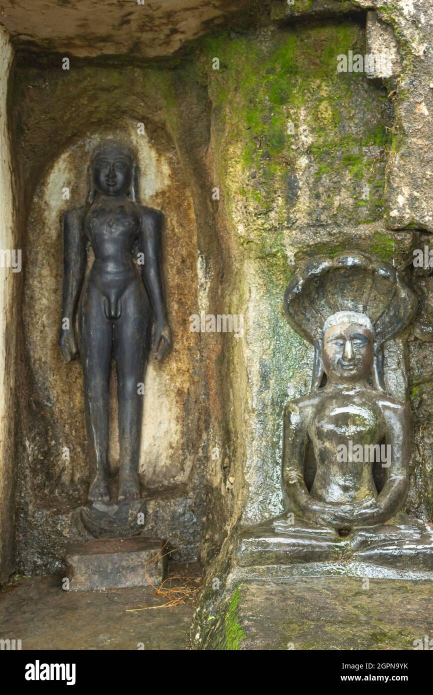 Carved images of Tirthankaras in several postures. Mangi Tungi, Nashik ...