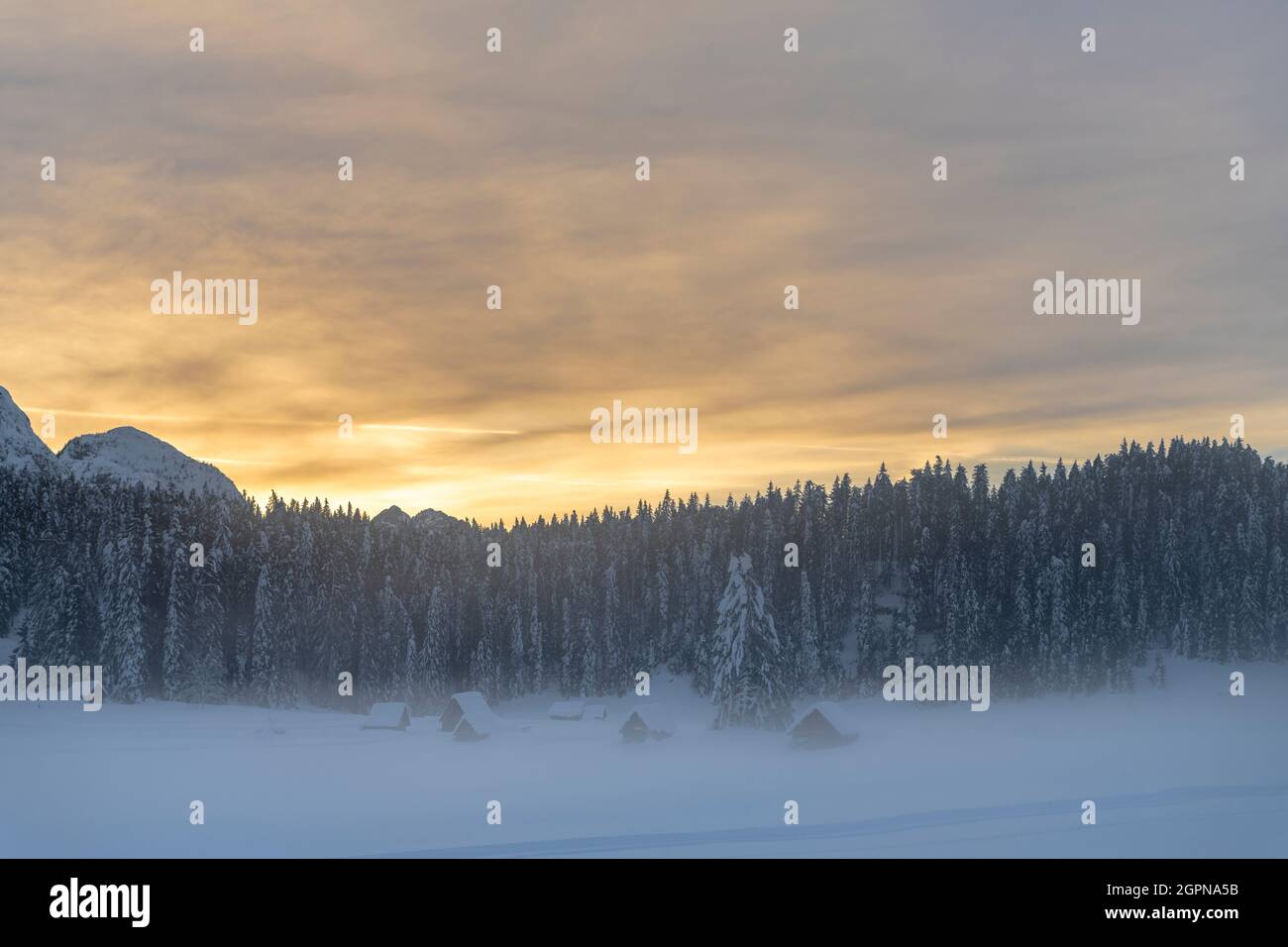 After the snowfall. Dusk on the Sappada plain. Magic of winter Stock ...
