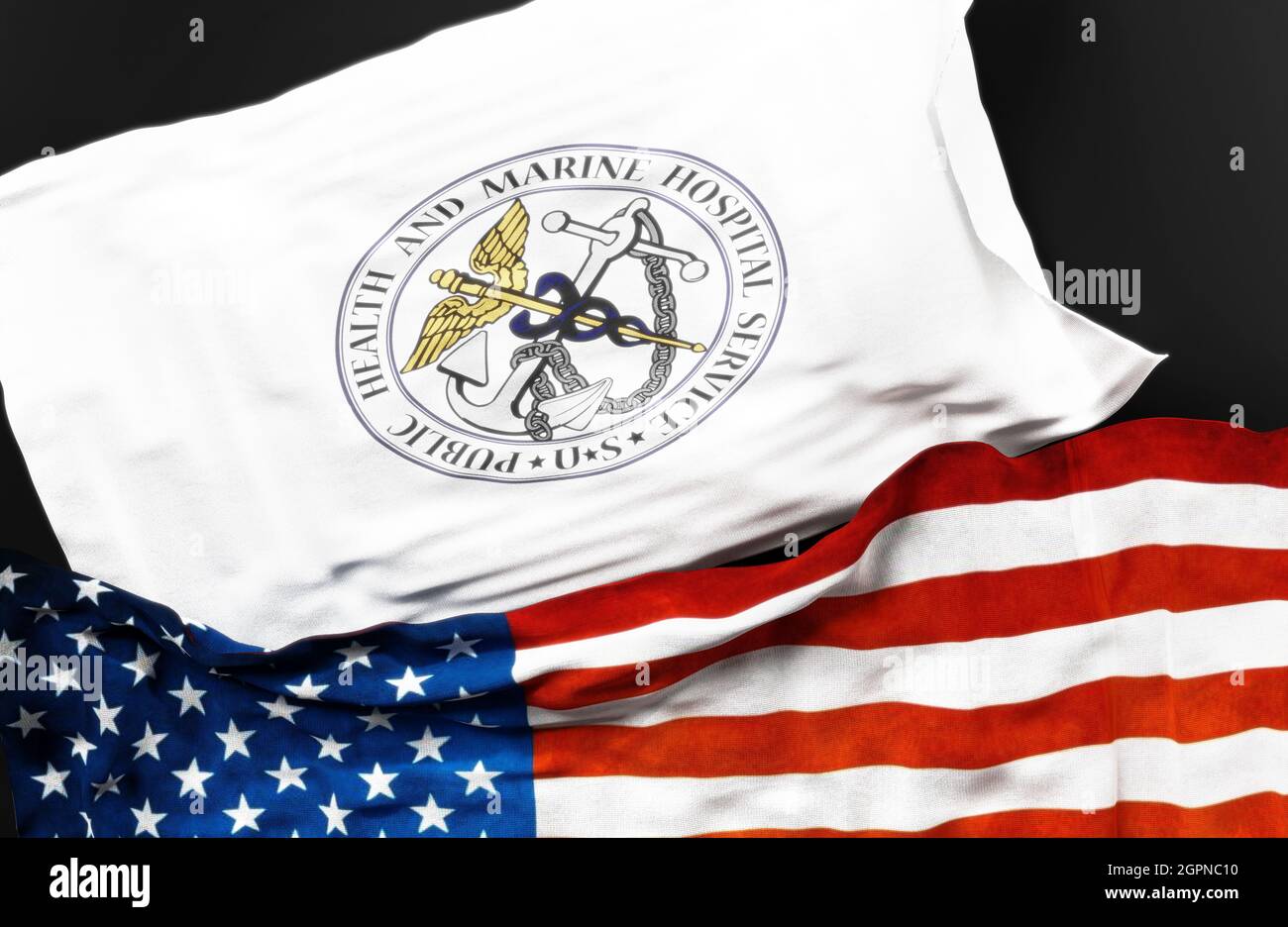 Flag of the United States Public Health and Marine to Hospital Service ...