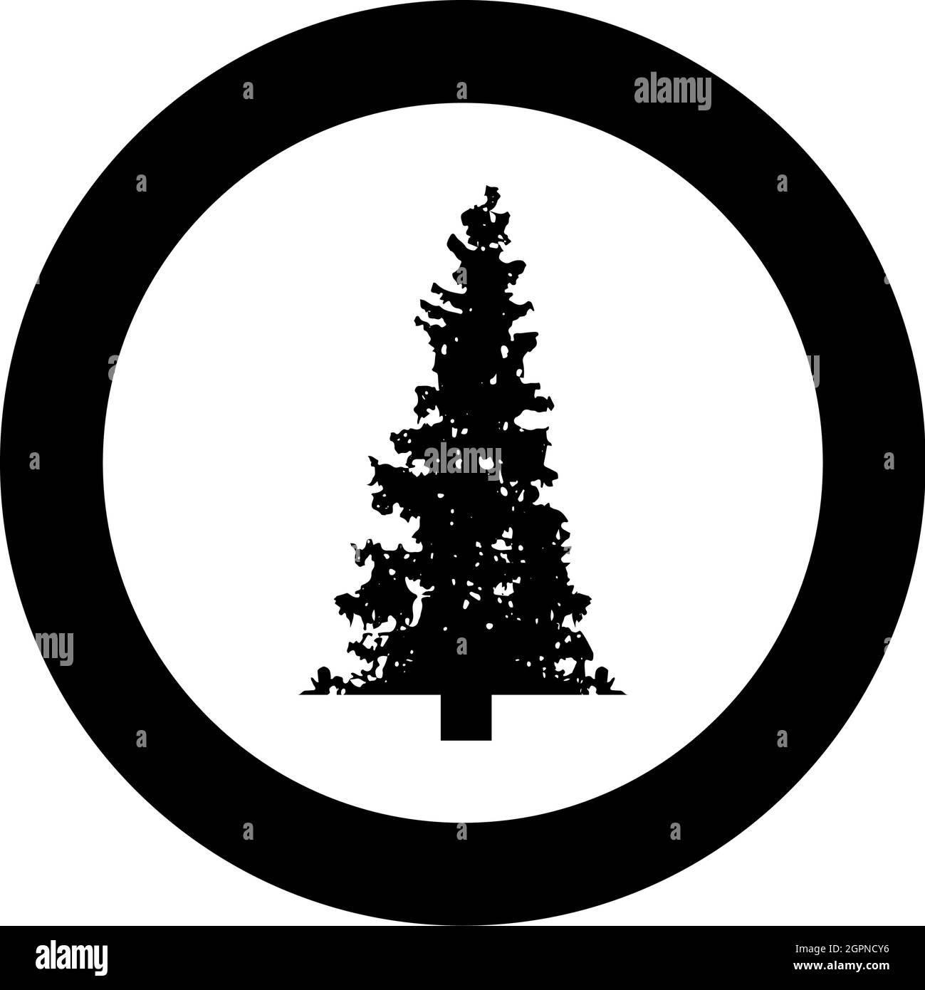 Winter forest pine branch in Stock Vector Images - Alamy