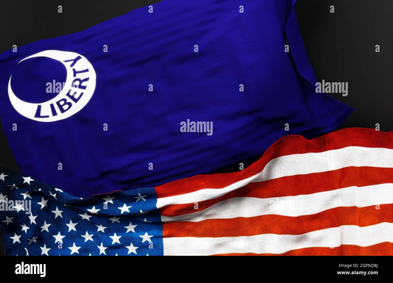 Moultrie flag hi-res stock photography and images - Alamy