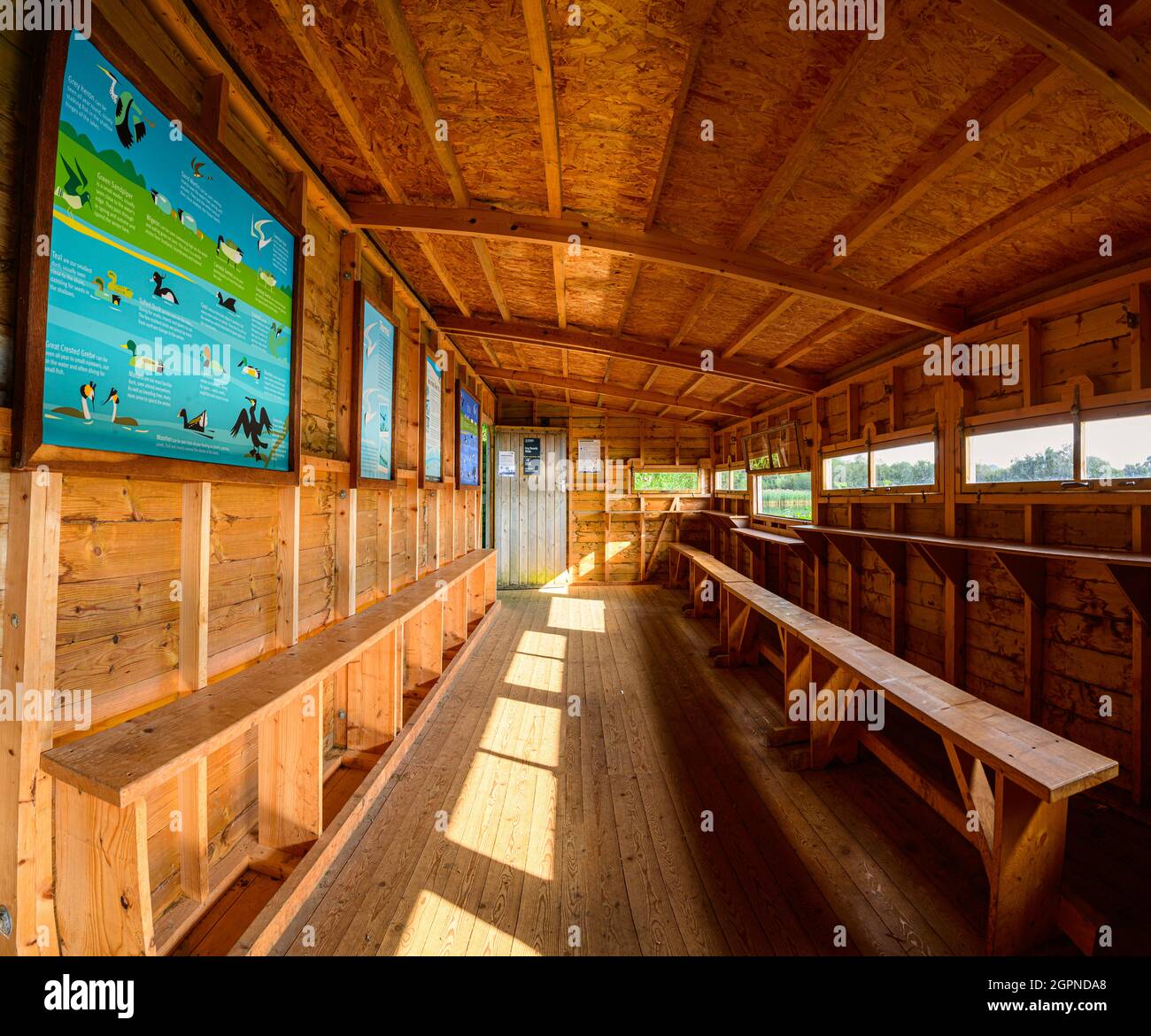 Wooden bird hide at Blashford Lakes Nature Reserve with sun lighting up ...