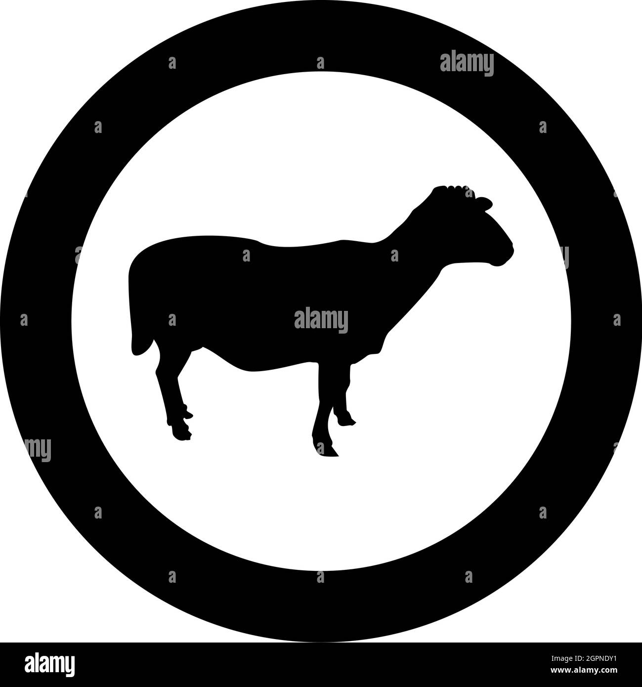 Cattle in the Stock Vector Images - Alamy