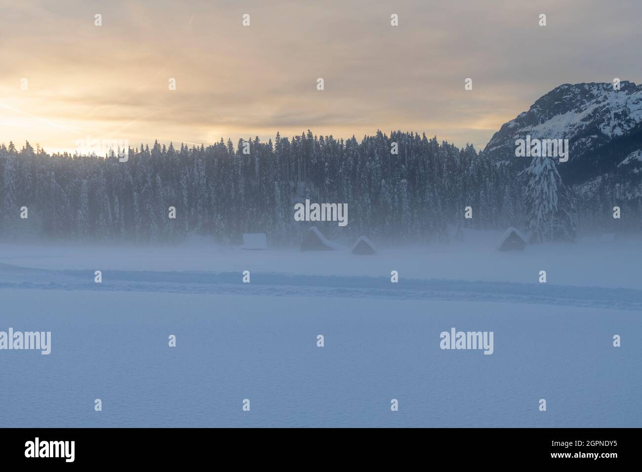 After the snowfall. Dusk on the Sappada plain. Magic of winter Stock ...