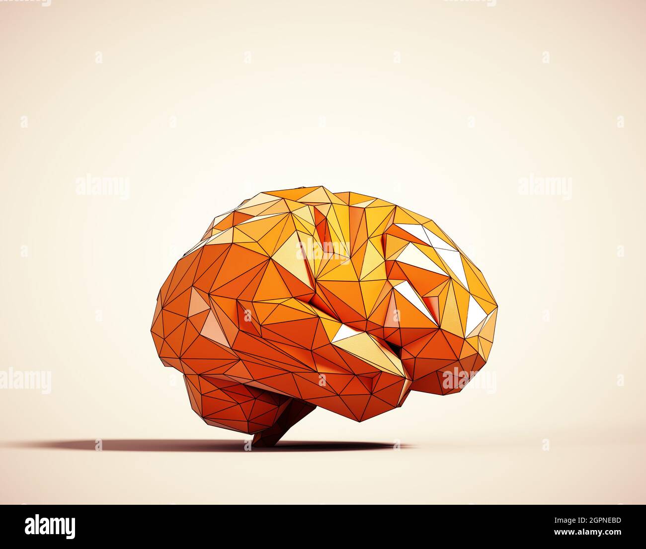 Low poly brain. Abstract mash line and point origami on white ...