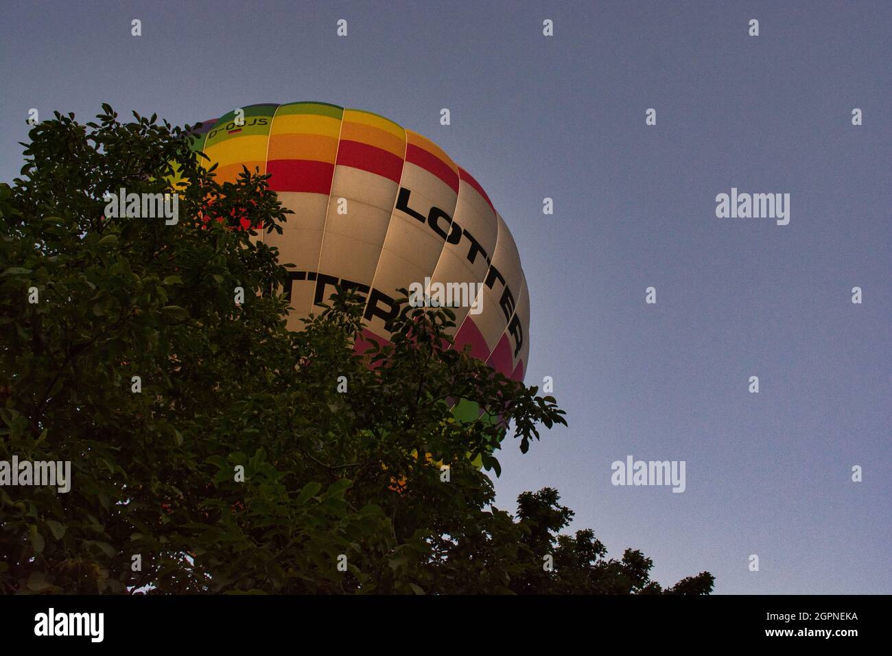Balloon behind a tree at dawn Stock Photo - Alamy
