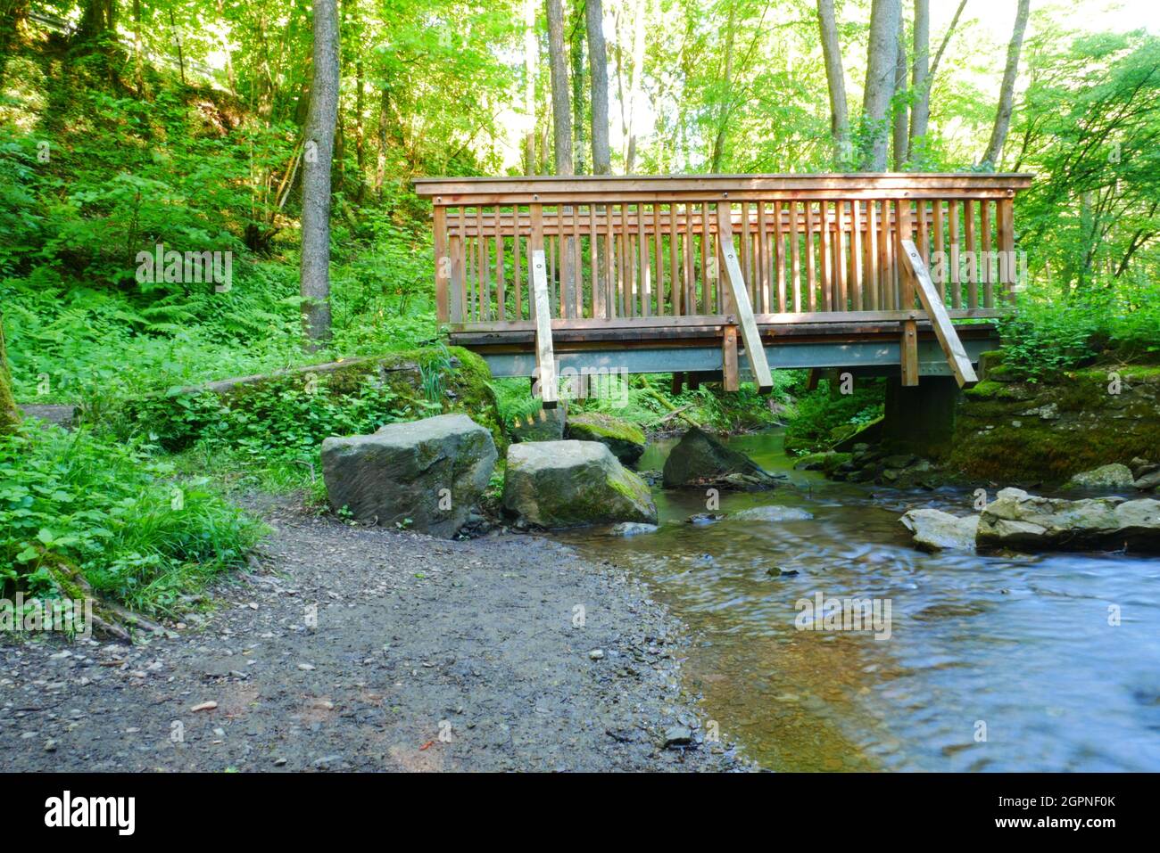 wooden footbridge as part of a hiking trail through a green spring ...