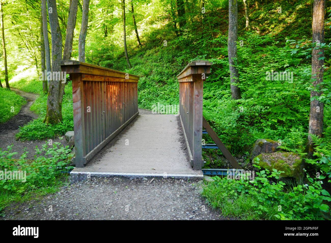 wooden footbridge as part of a hiking trail through a green spring ...