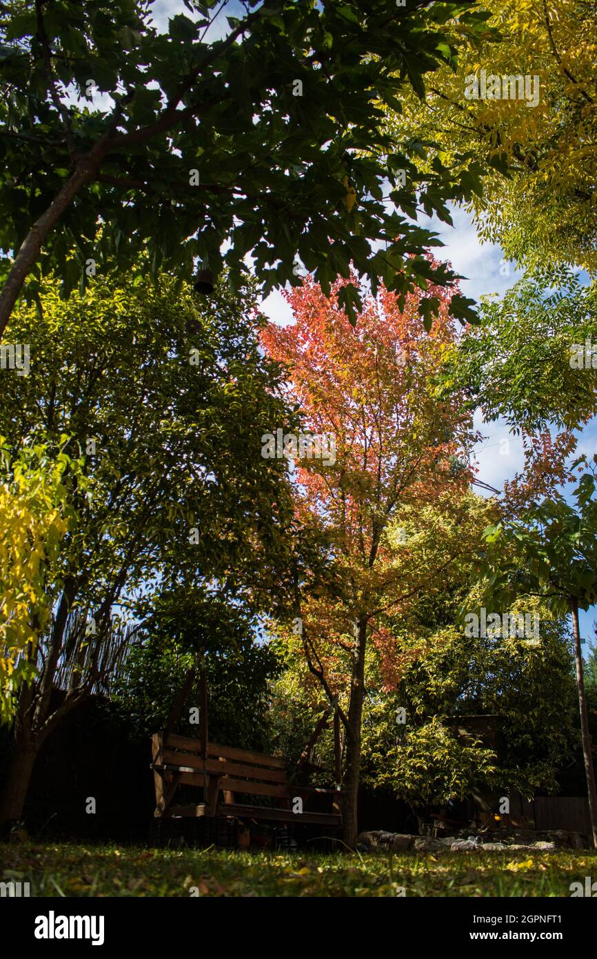 Fall at home Stock Photo - Alamy