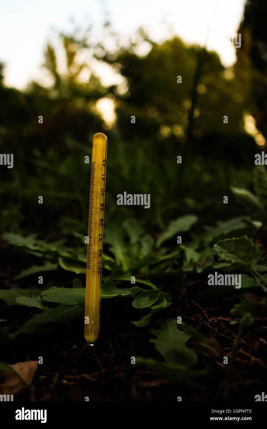 earth is ill Stock Photo - Alamy