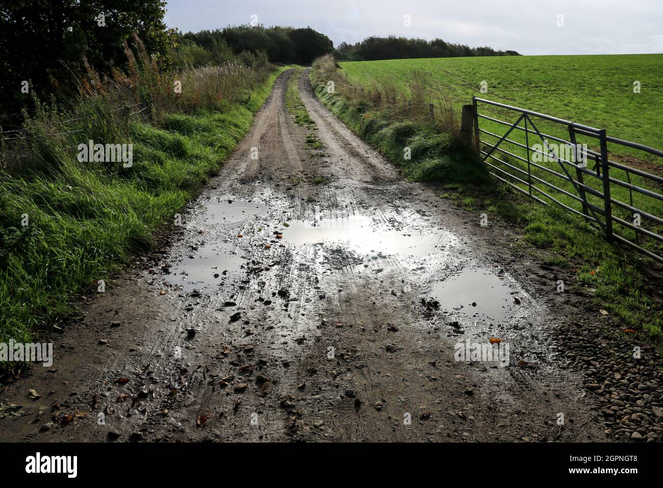 Country road mud ruts hi-res stock photography and images - Alamy