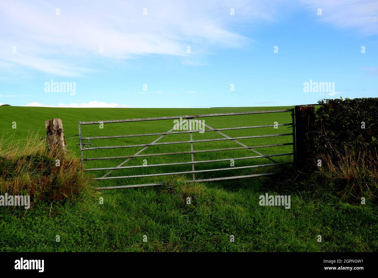 Old metal farm gate in a farming field location Stock Photo - Alamy