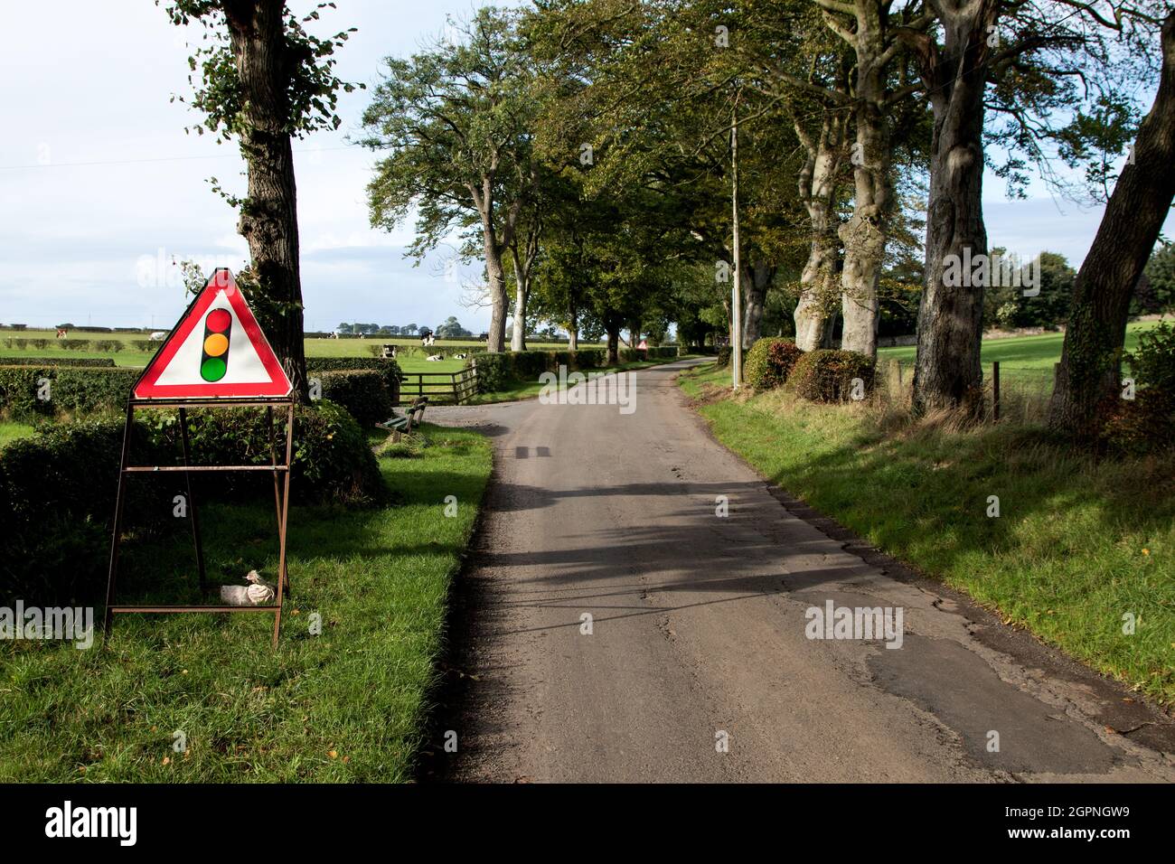 Temporary traffic lights warning sign on a country lane Stock Photo - Alamy