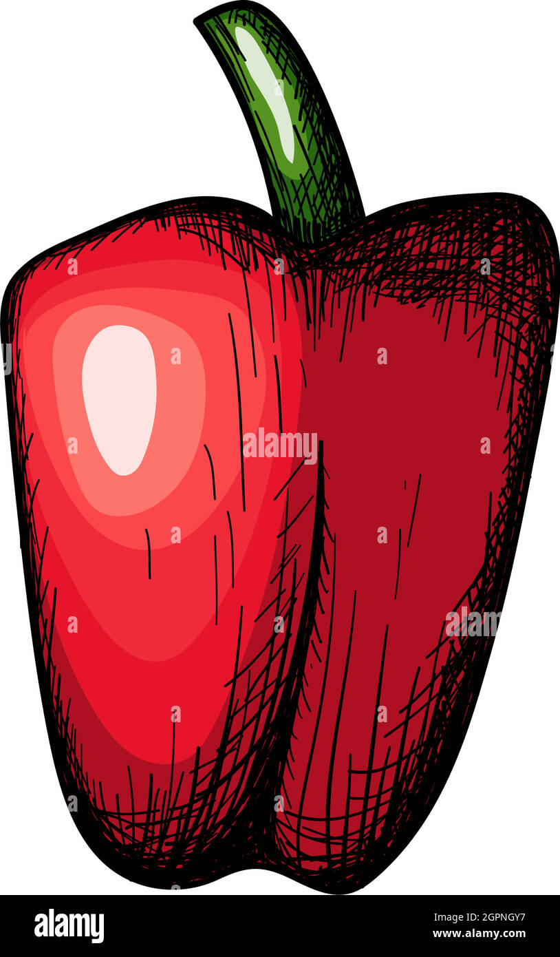 Bell pepper simple Cut Out Stock Images & Pictures - Alamy