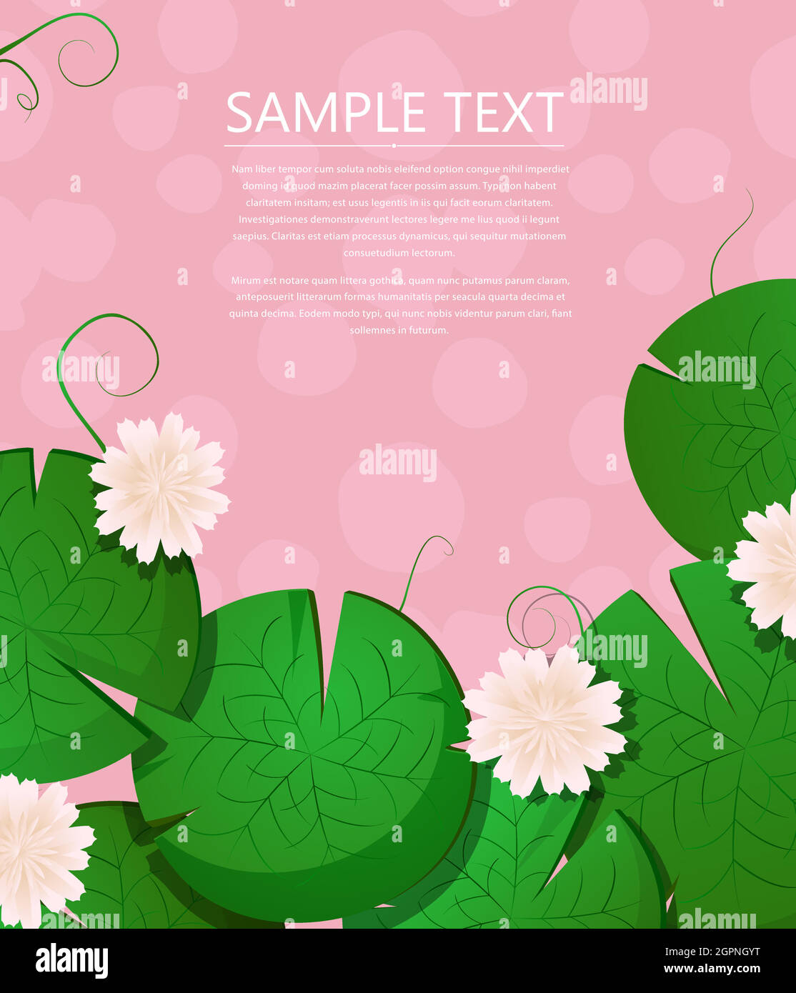 Flower water lilies Stock Vector Images - Alamy