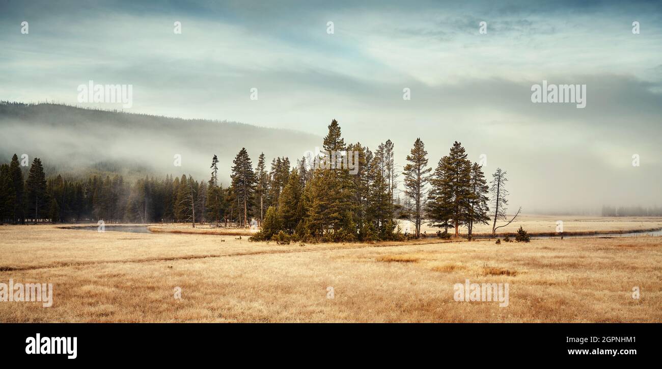 Yellowstone national park morning hi-res stock photography and images ...