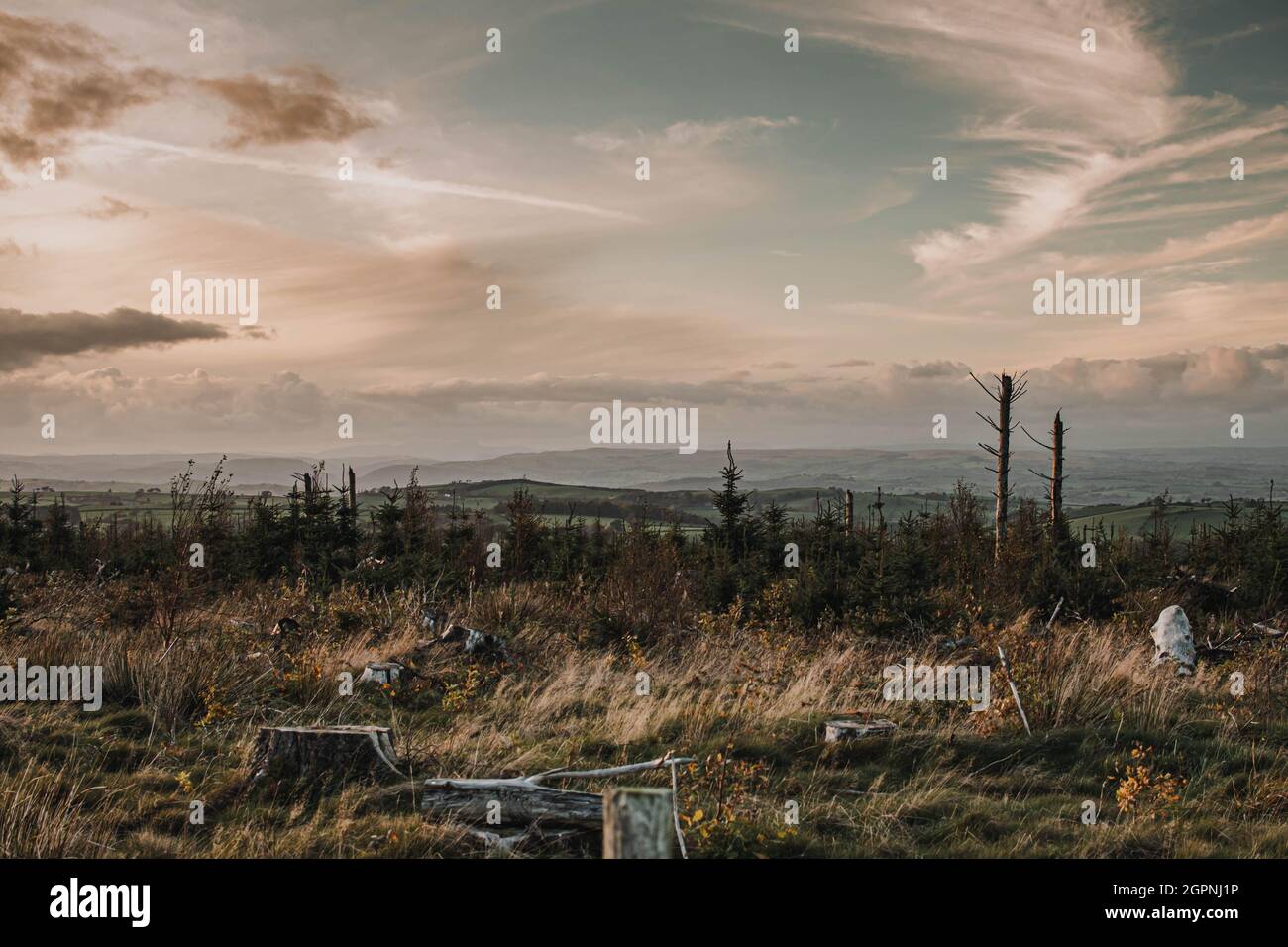 Kerry ridgeway hi-res stock photography and images - Alamy