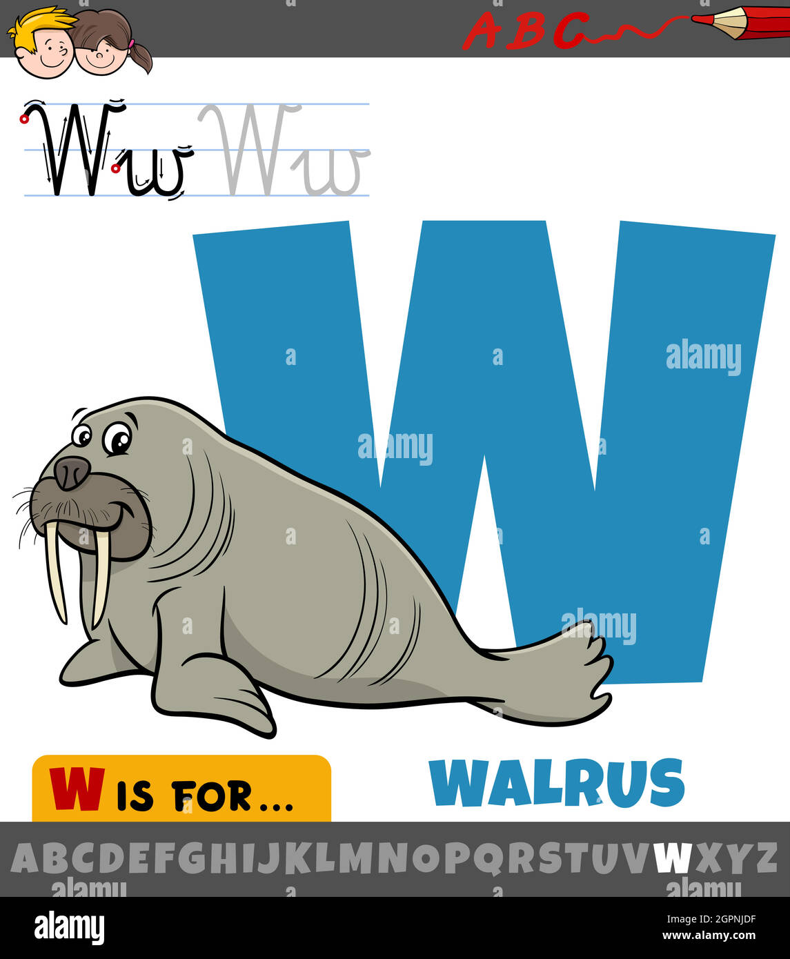 letter W from alphabet with cartoon walrus animal character Stock ...