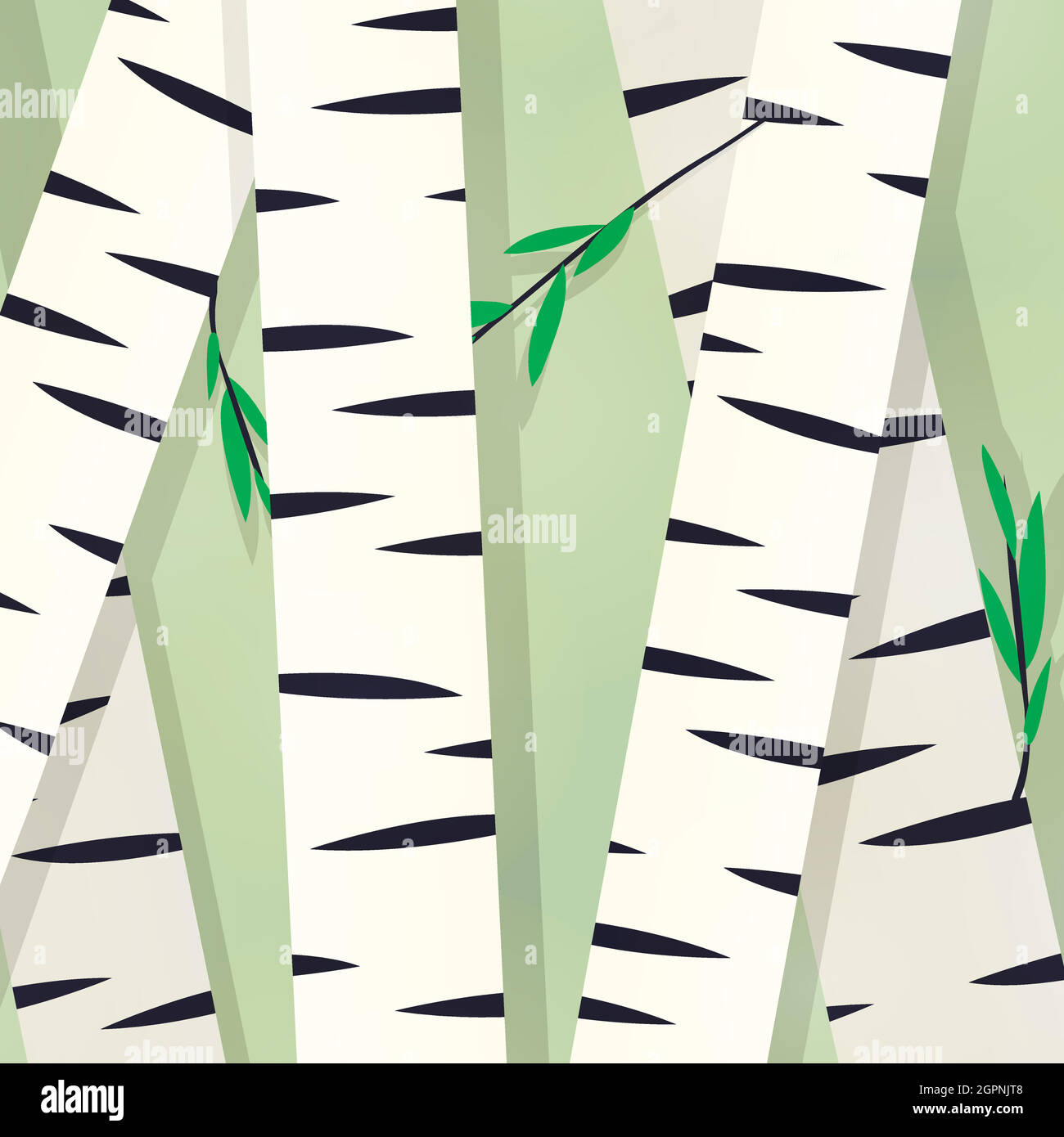 Birch trees card Stock Vector Image & Art - Alamy