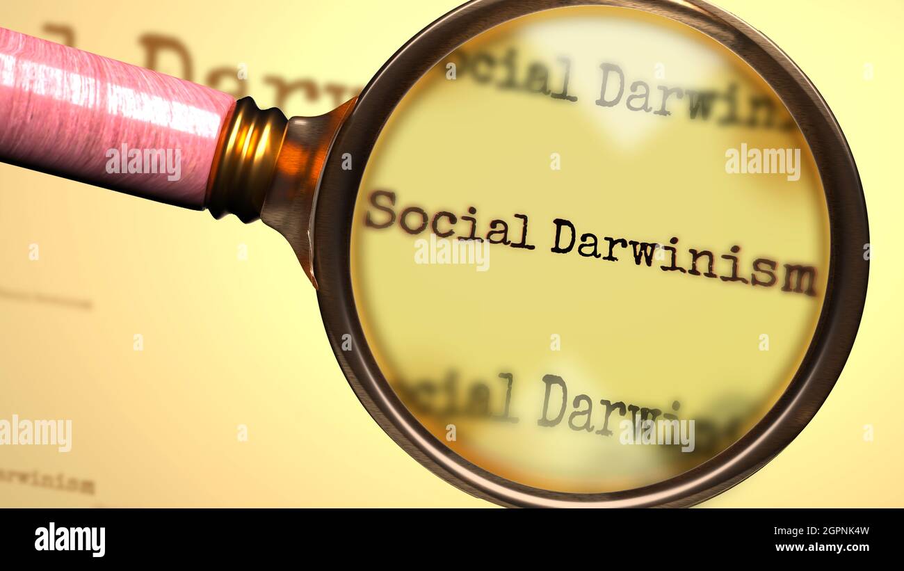 Darwin research illustration hi-res stock photography and images - Alamy