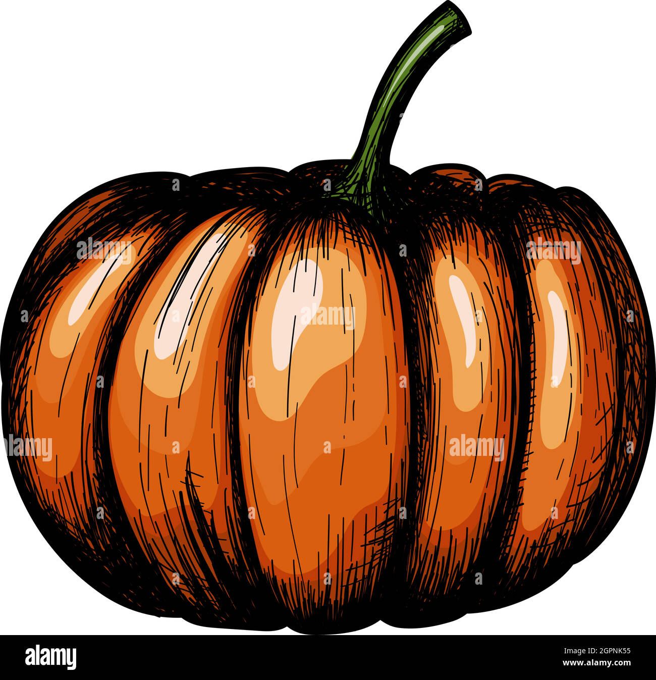 Nutrition pumpkin Stock Vector Images - Alamy