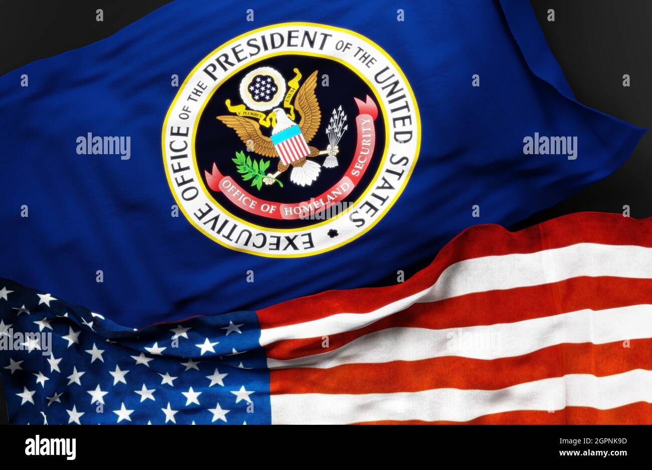 Flag of the United States Office of Homeland Security along with a flag ...