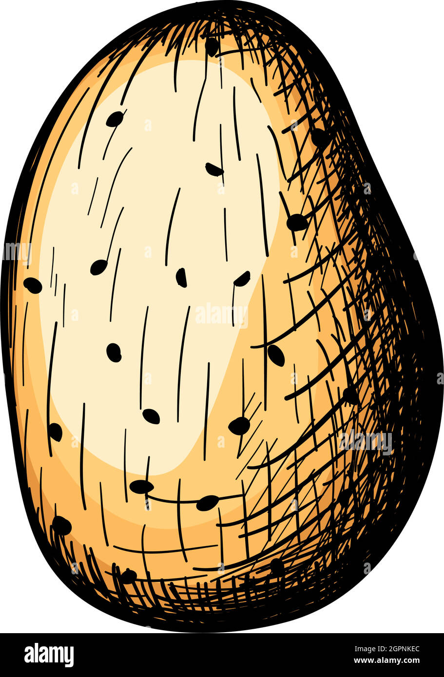 Food label potato Stock Vector Images - Alamy