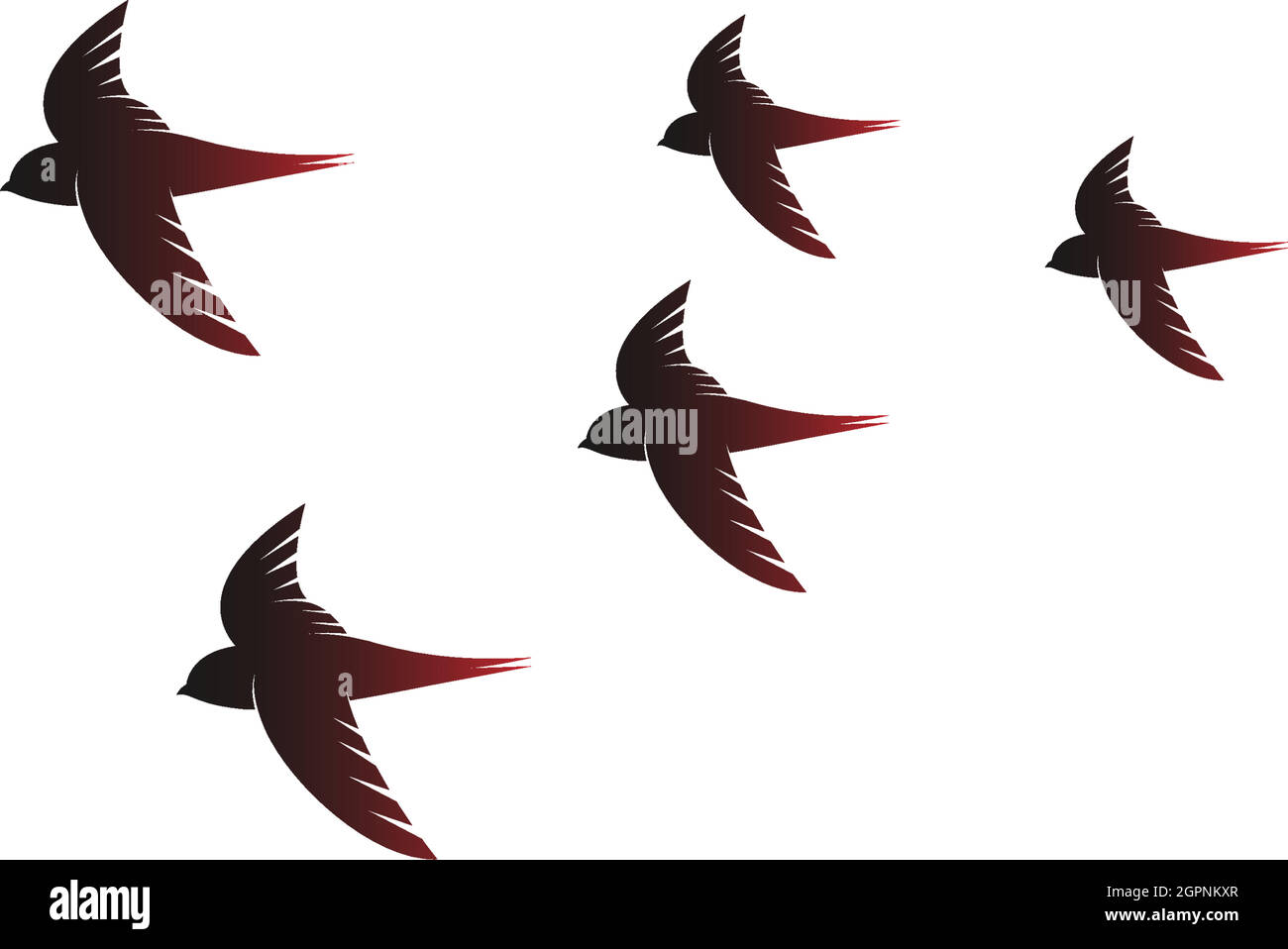Simple Design of Swift Bird logo icon template vector illustration ...