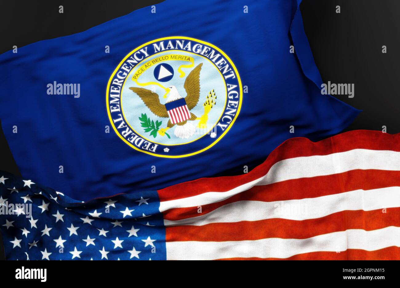 Flag of the Federal Emergency Management Agency 1979 to 2003 along with ...