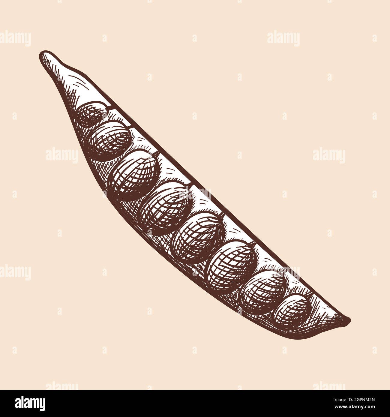 Pea business logo Stock Vector Images - Alamy