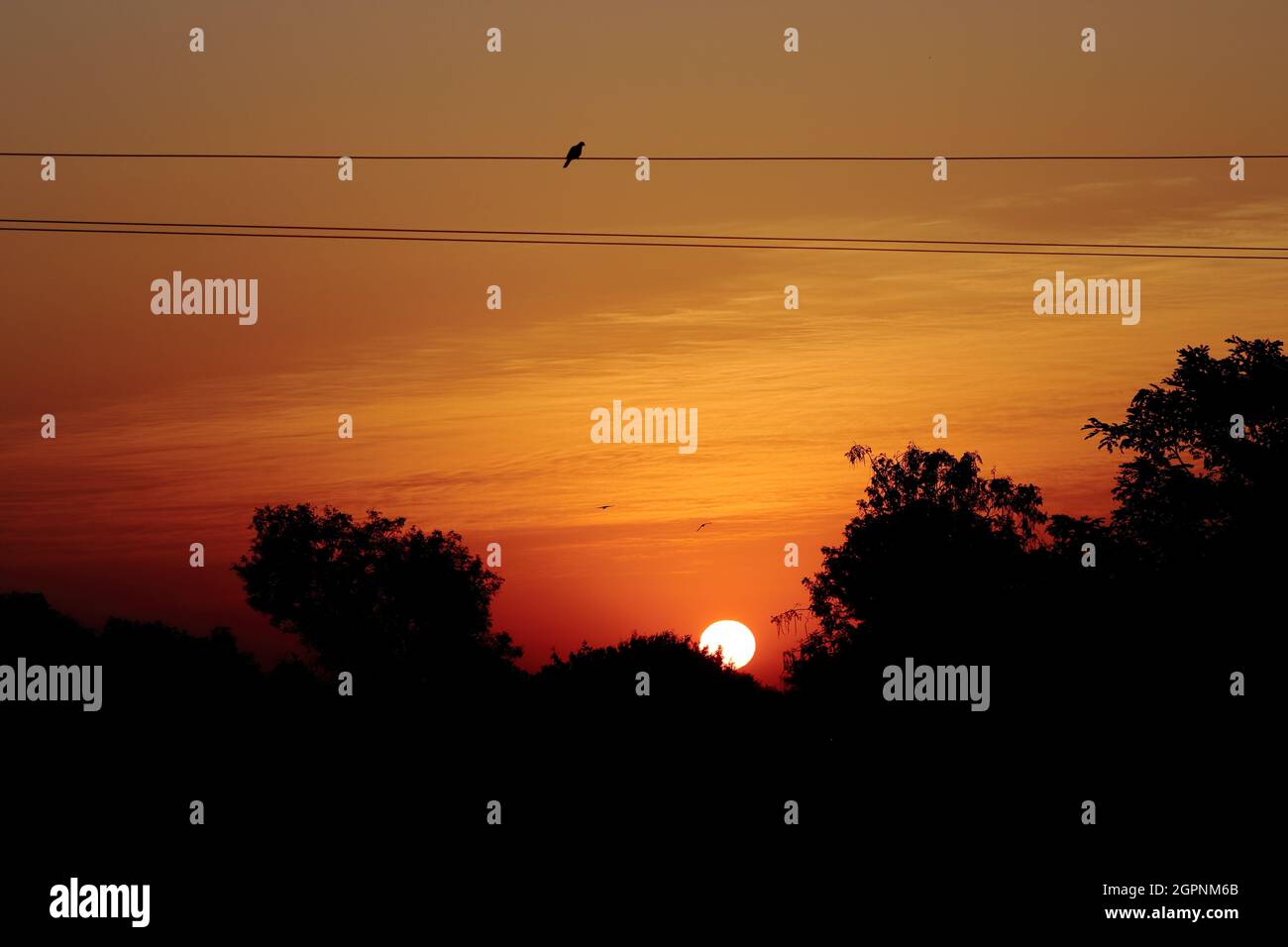 Close-up of evening sunset landscape view from indian village during ...