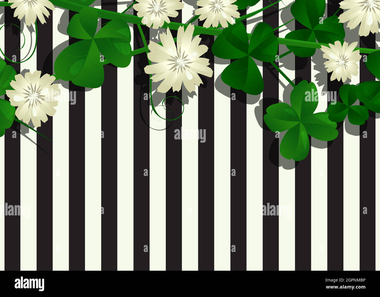 Shamrock green clover leaves Stock Vector Images - Alamy