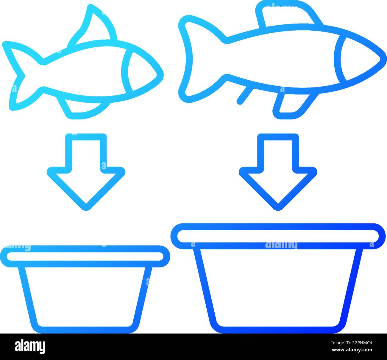 Fish grading Stock Vector Images - Alamy