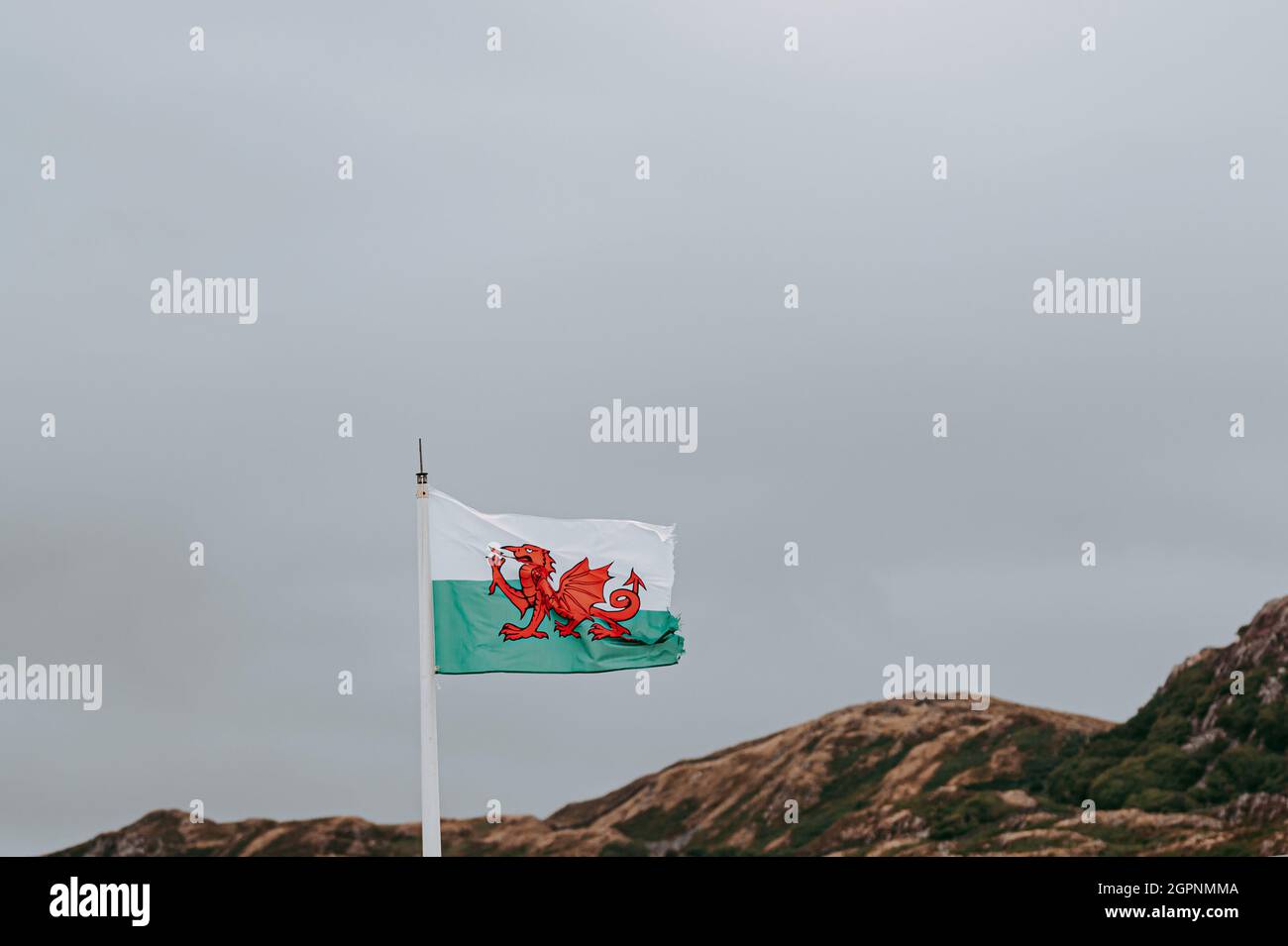 Welsh Flag Flying Stock Photo - Alamy