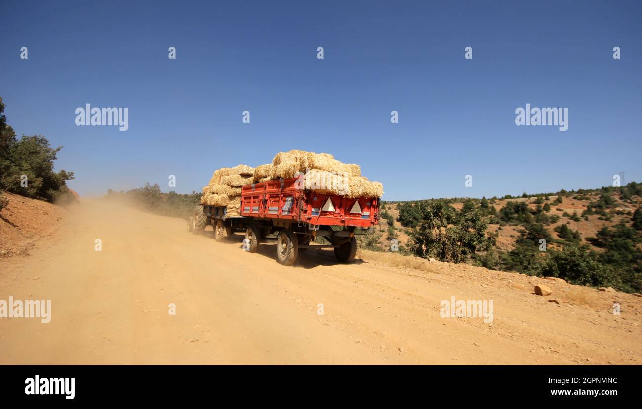 Farmer carrying hay bale hi-res stock photography and images - Alamy